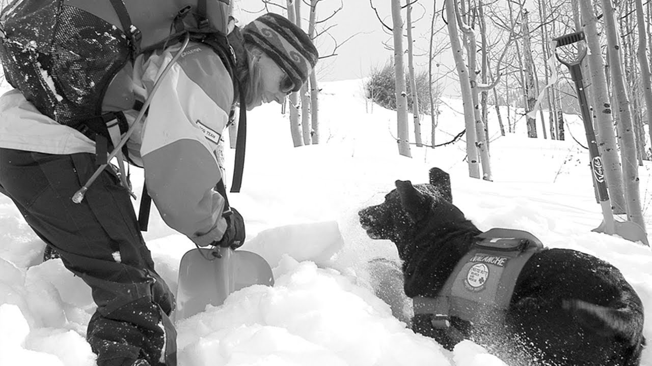 GO FIND by Susan Purvis, Book Trailer - YouTube