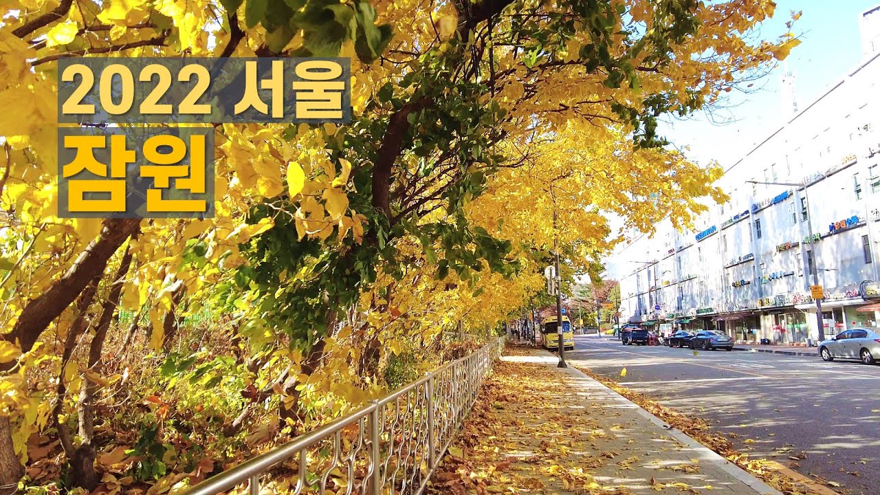 잠원동 늦가을 산책 Walk on Jamwon-dong in Seoul 【4K】 - YouTube