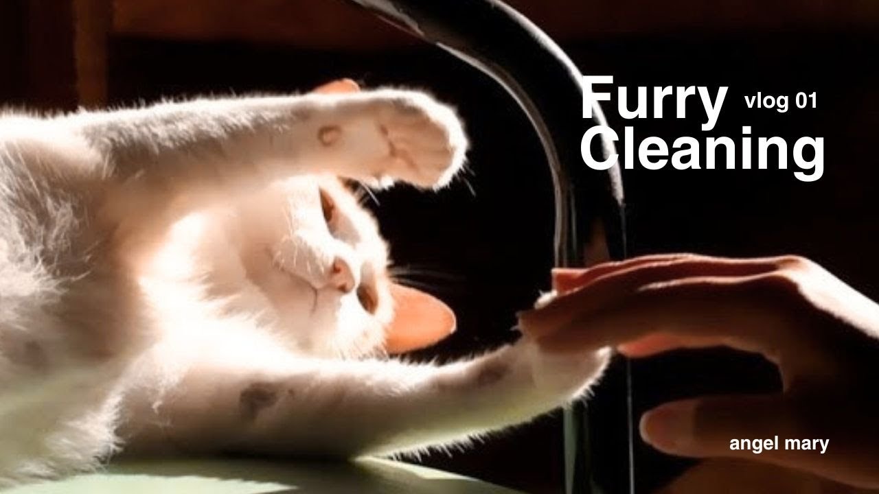 furry cleaning - YouTube