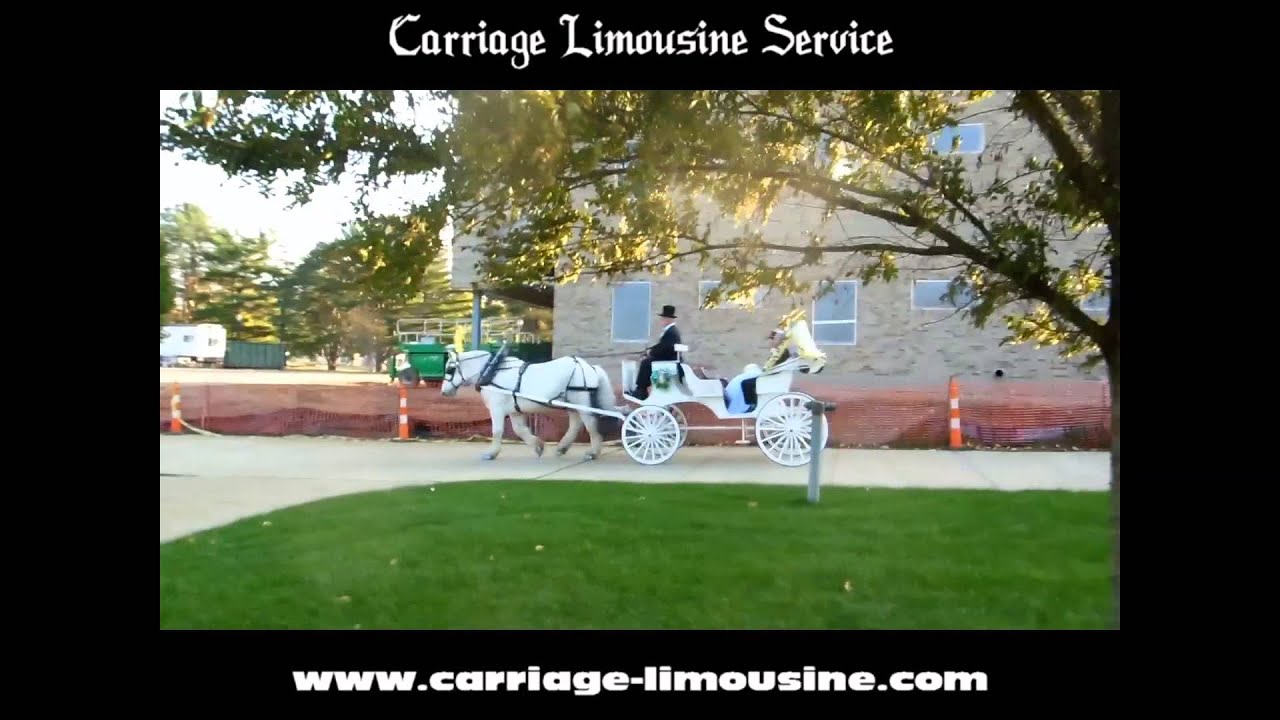 Horse and Carriage - Wedding Carriage - Victorian Carriage 70 ...