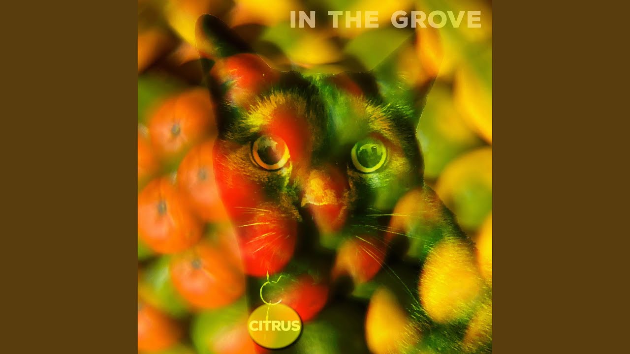 The Infinite Percent - YouTube Music