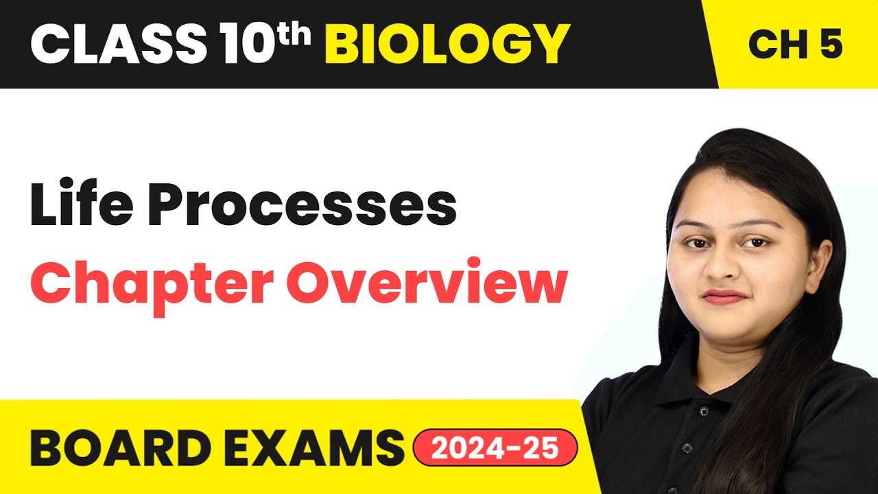 Life Processes - Chapter Overview | Class 10 Biology Chapter 5 | CBSE ...