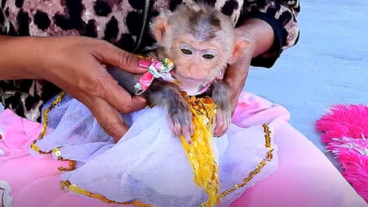 Amazing baby Vicky! Get the most beautiful clothes - YouTube