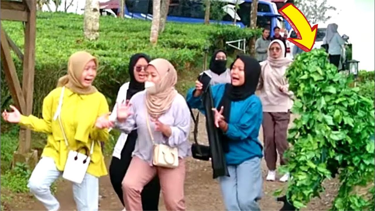 Ekspresi Lucu Cewek... || Bushman Prank Super Kocak - YouTube