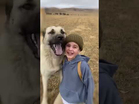 After 2 Years, Boy Thought His Friend Forgot Him 💖