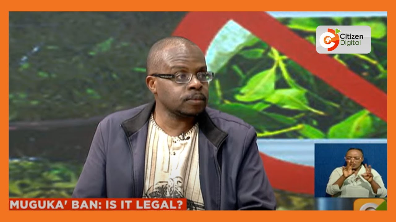 | CITIZEN WEEKEND | Muguka Ban: Is it Legal? - YouTube