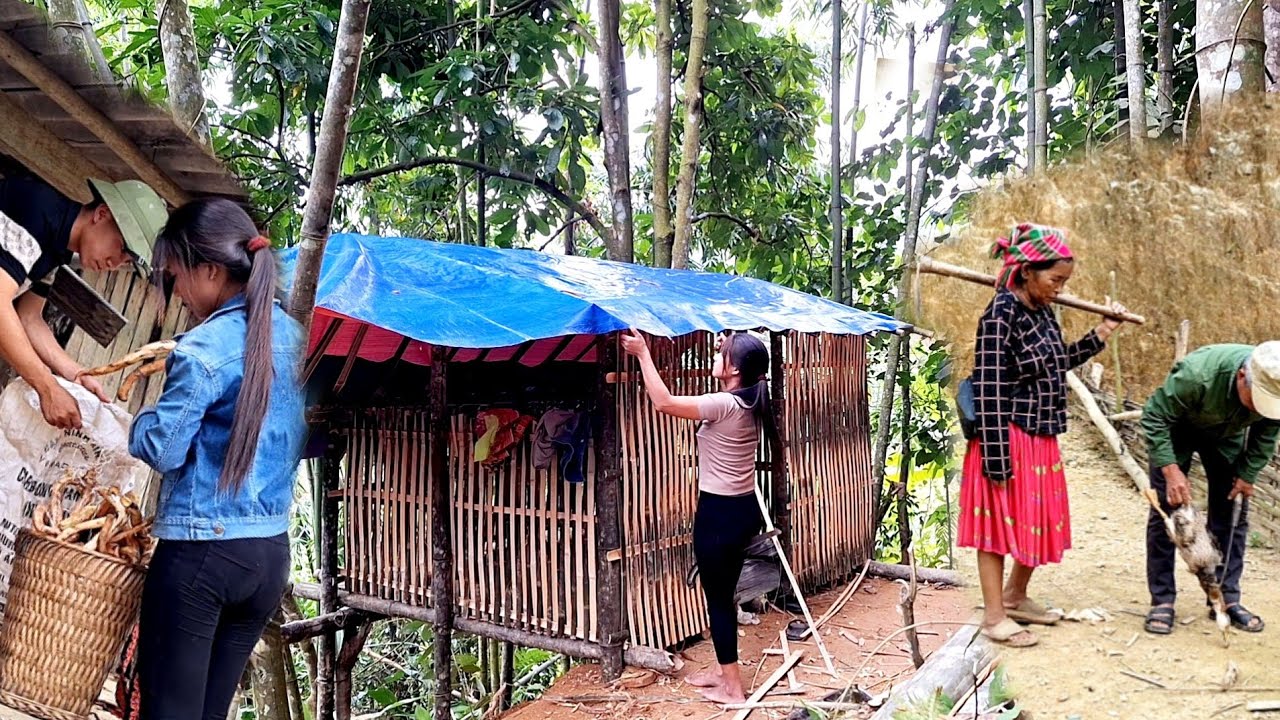 After completing the house, find a manioc manioc to sell || lyyennhi ...