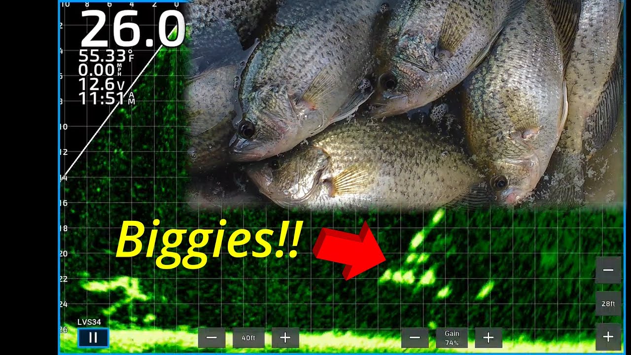 WINTER LIVESCOPE FOOTAGE – BOAT FLIPPIN 2 POUND CRAPPIE!! - YouTube