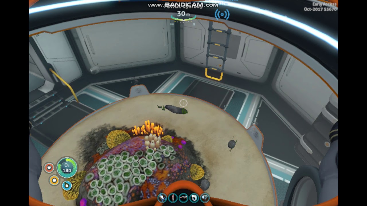 Subnautica - Baby Cuddlefish trying to Hatch - YouTube