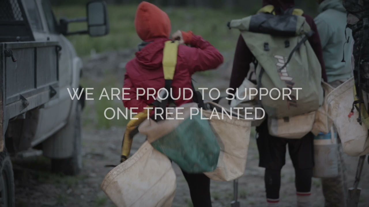 One Tree Planted - Reforestation Partner Video - YouTube