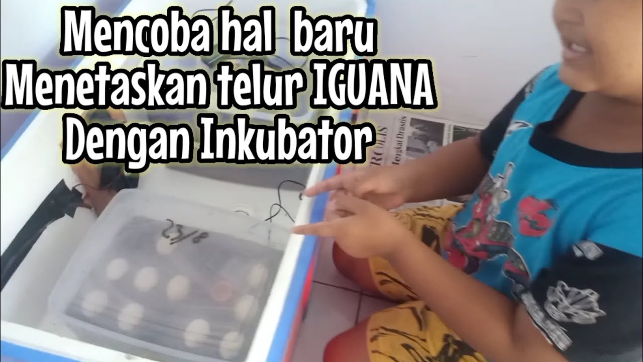 TERNYATA HARUS SPERTI INI - YouTube