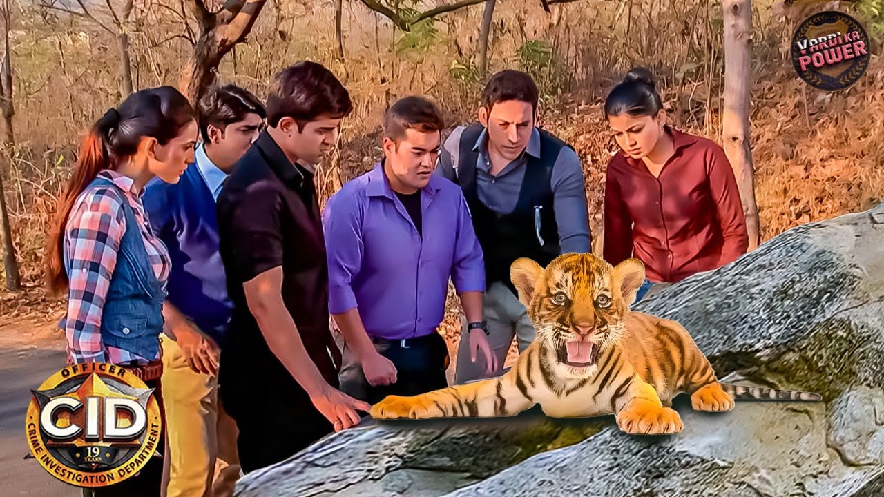 क्या Team CID इस छोटे Tiger के बच्चे की माँ का पता लगा पाएगी ? | Best ...