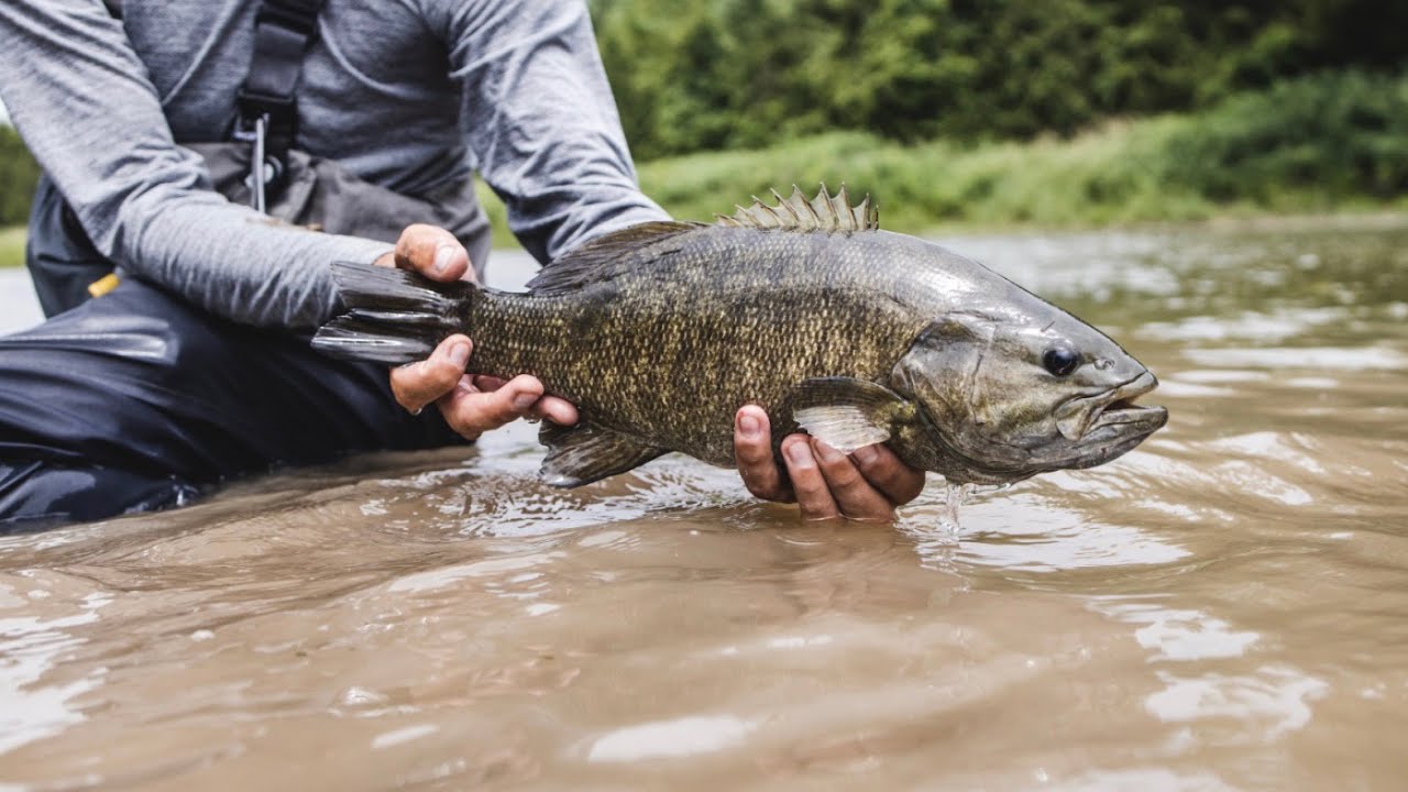 Tying Top River Smallmouth Flies w/ Matt Martin - YouTube