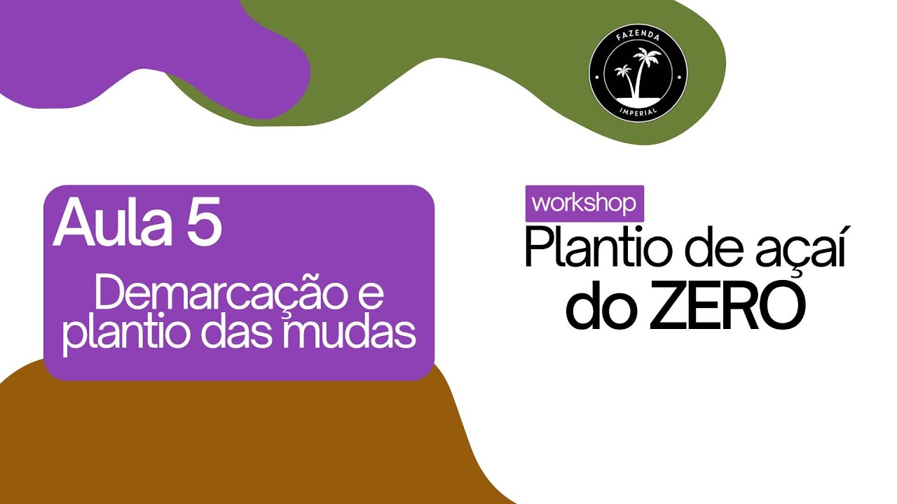 Como plantar açaí? - [AULA 05] Curso plantio de açaí do ZERO - YouTube