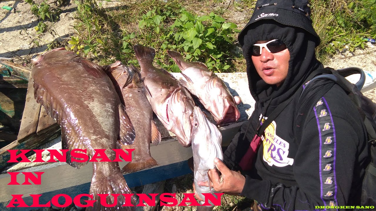 Catching KINSAN in Aloguinsan - YouTube