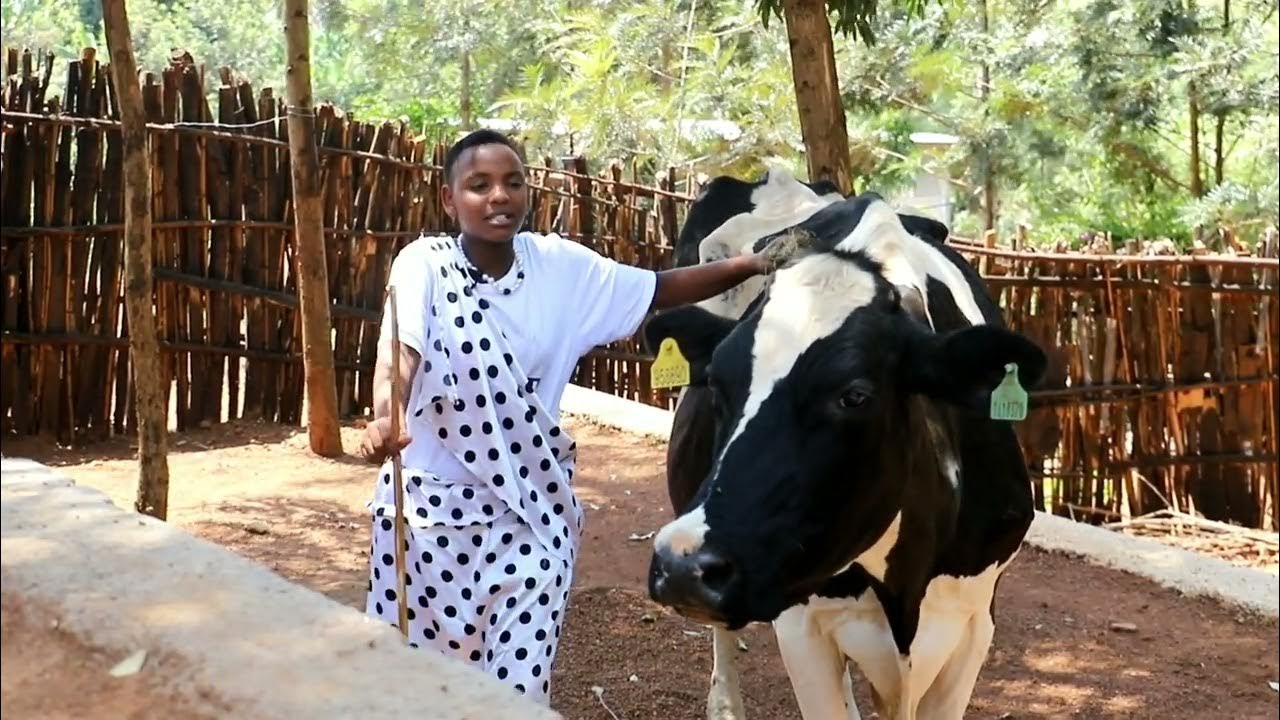 Umuco Wacu/Umva Amazina y'inka. - YouTube