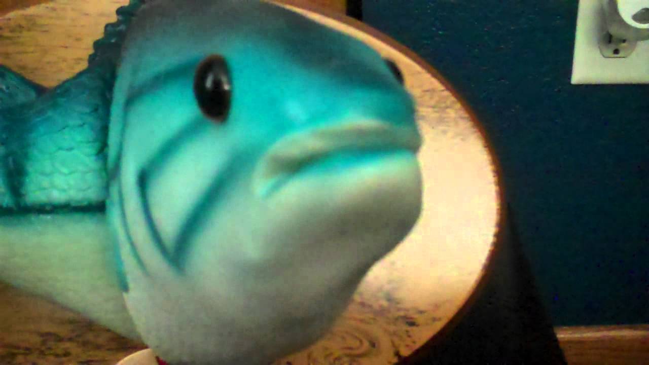 ***FRANKIE THE FISH*** (Singing Fish) - YouTube