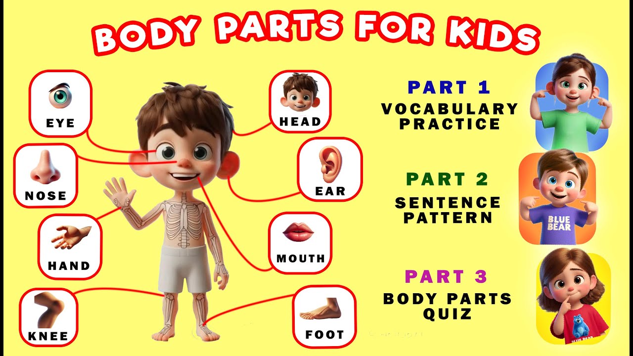 Learn Body Parts for Kids | New Sentence Patterns | Body Quiz | ESL for ...
