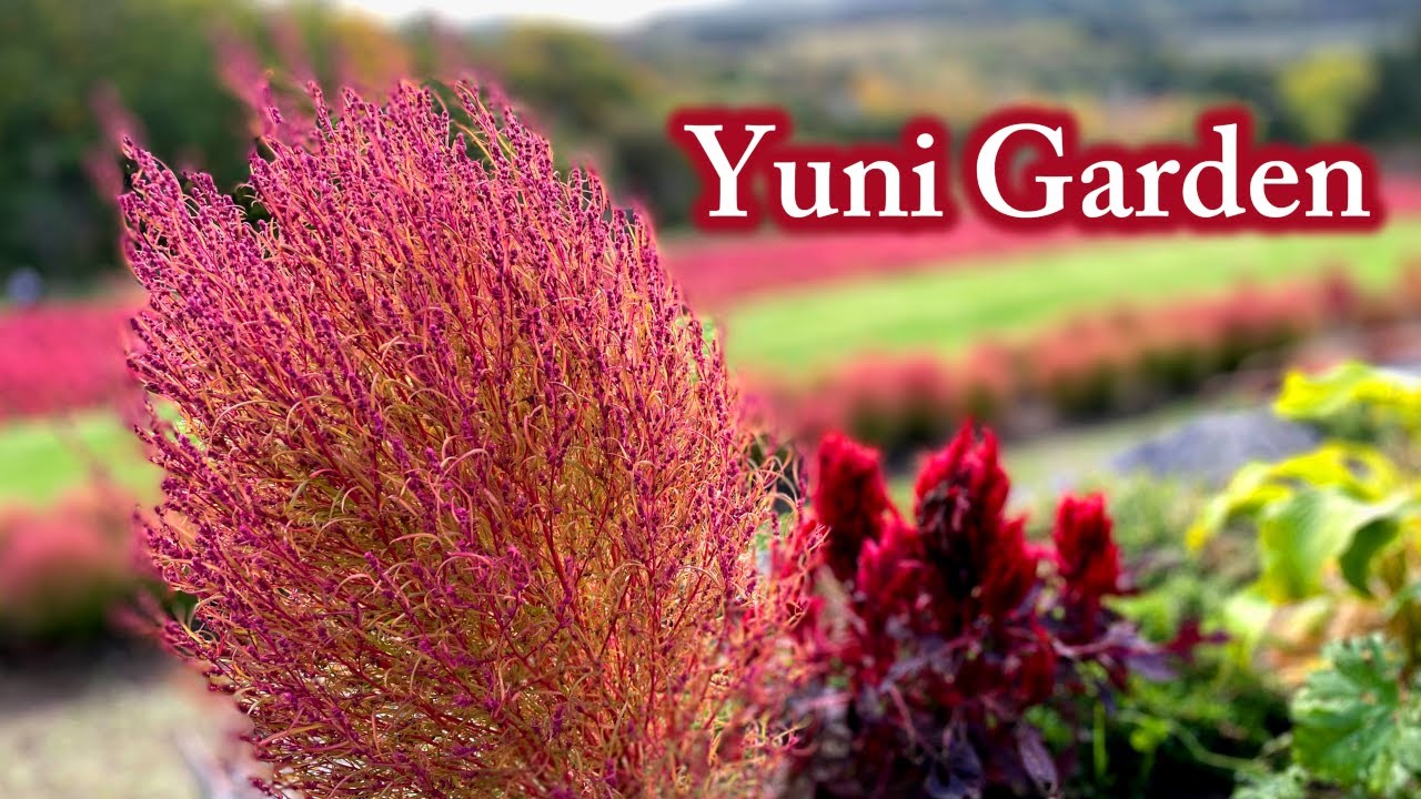 【北海道由仁町】ゆにガーデン Yuni Garden - YouTube