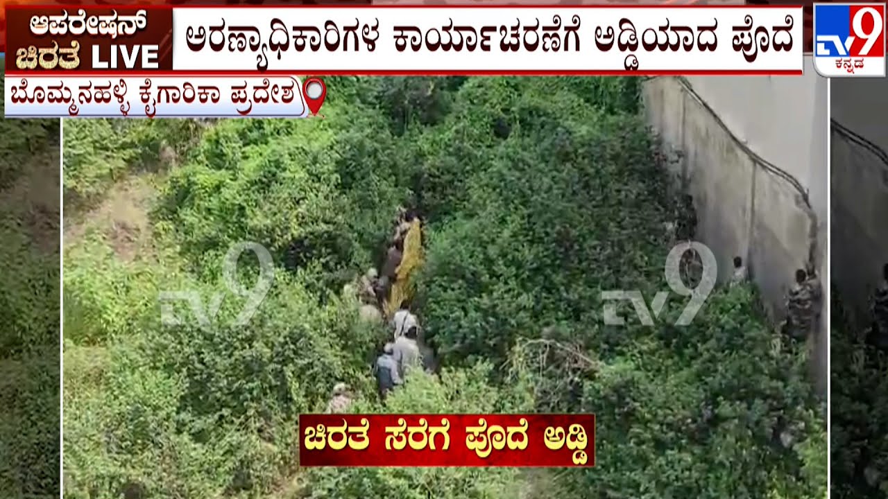 Operation Leopard In Bengaluru | ಅರಣ್ಯಾಧಿಕಾರಿಗಳ ಕಾರ್ಯಚರಣೆಗೆ ಅಡ್ಡಿಯಾದ ಪೊದೆ - YouTube