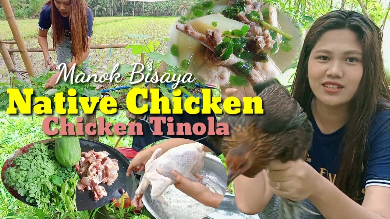 COOKING NATIVE CHICKEN FOR LUNCH | CHICKEN TINOLA | MANOK BISAYA ...