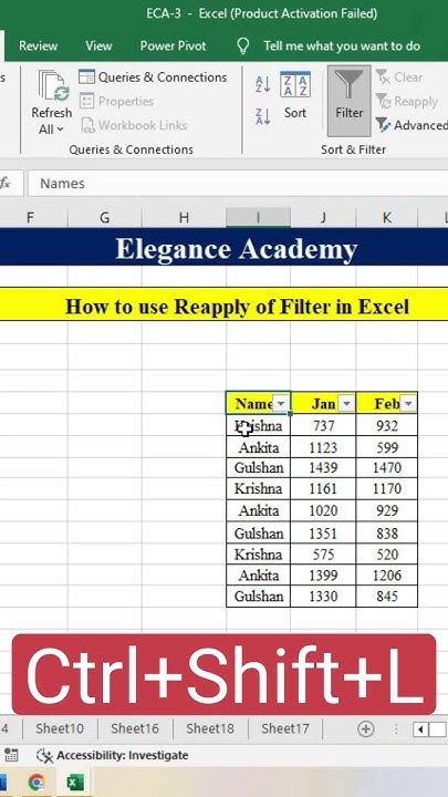 How to use Reapply in Filter #excel #msexcel #shortsvideo #shorts #ytshorts #eleganceacademy # ...