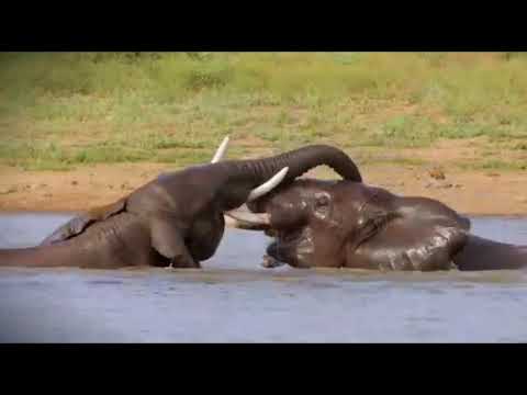 Welcome to Klaserie Drift Misava