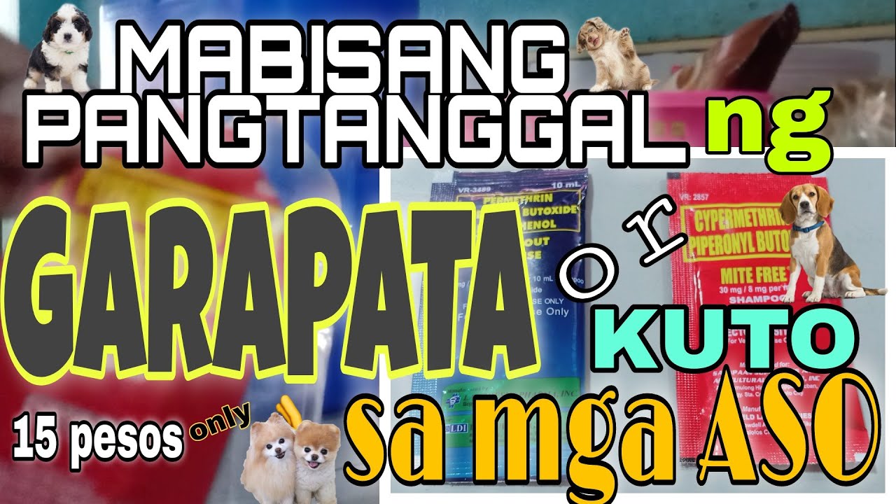 MABISANG PANG TANGGAL NG GARAPATA OR KUTO SA MGA ASO - YouTube