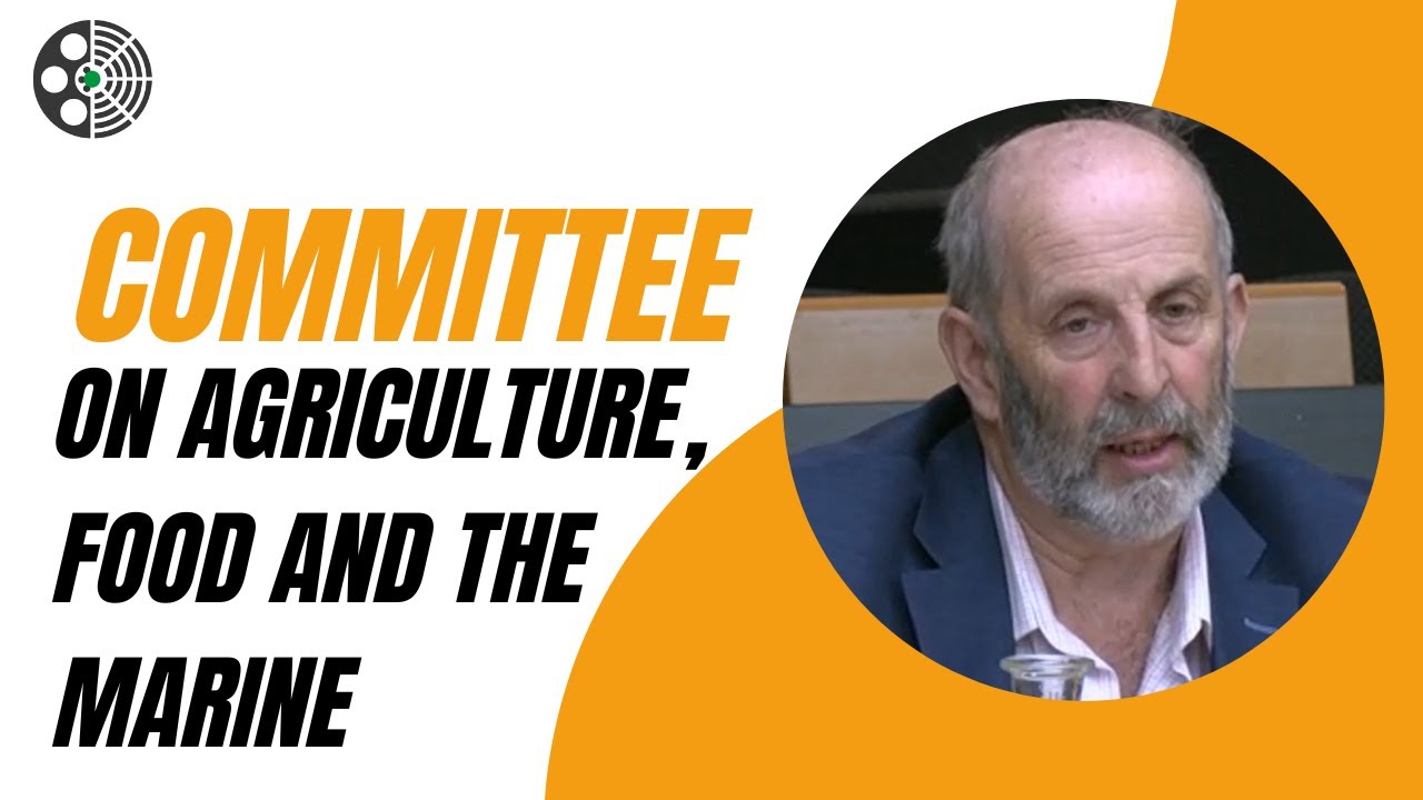 Deputy Danny Healy-Rae - speech from 17 May 2023 - YouTube