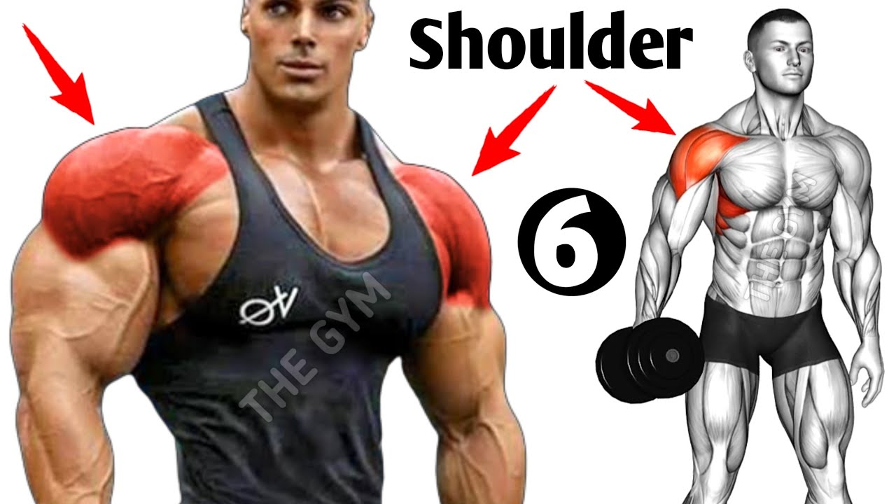 6 Perfect Shoulder Exercises for Bigger Delt - YouTube