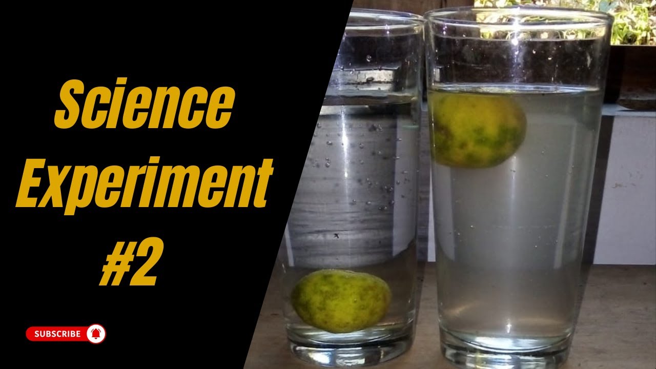 Exciting Science Experiment #2 – Fun & Easy to Try! #scienceexperiment ...