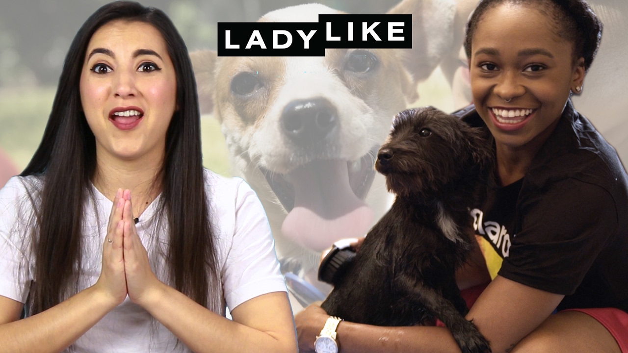 We Fostered Rescue Dogs For Two Weeks • Ladylike - YouTube
