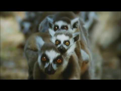Milyonların izlediği ilahi klip - Kabul Eyle - 'Anka' ilahi grubu