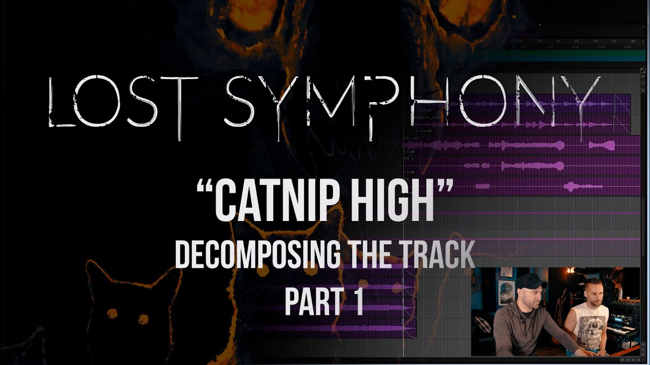 Catnip High - Decomposing the Track [Pt. 1] - YouTube