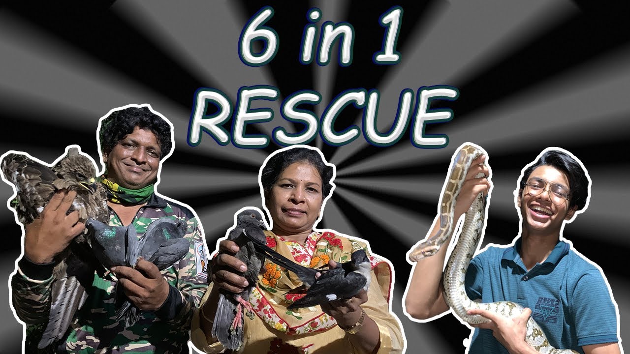 6 SPECIMEN ON 1 RESCUE CALL - YouTube