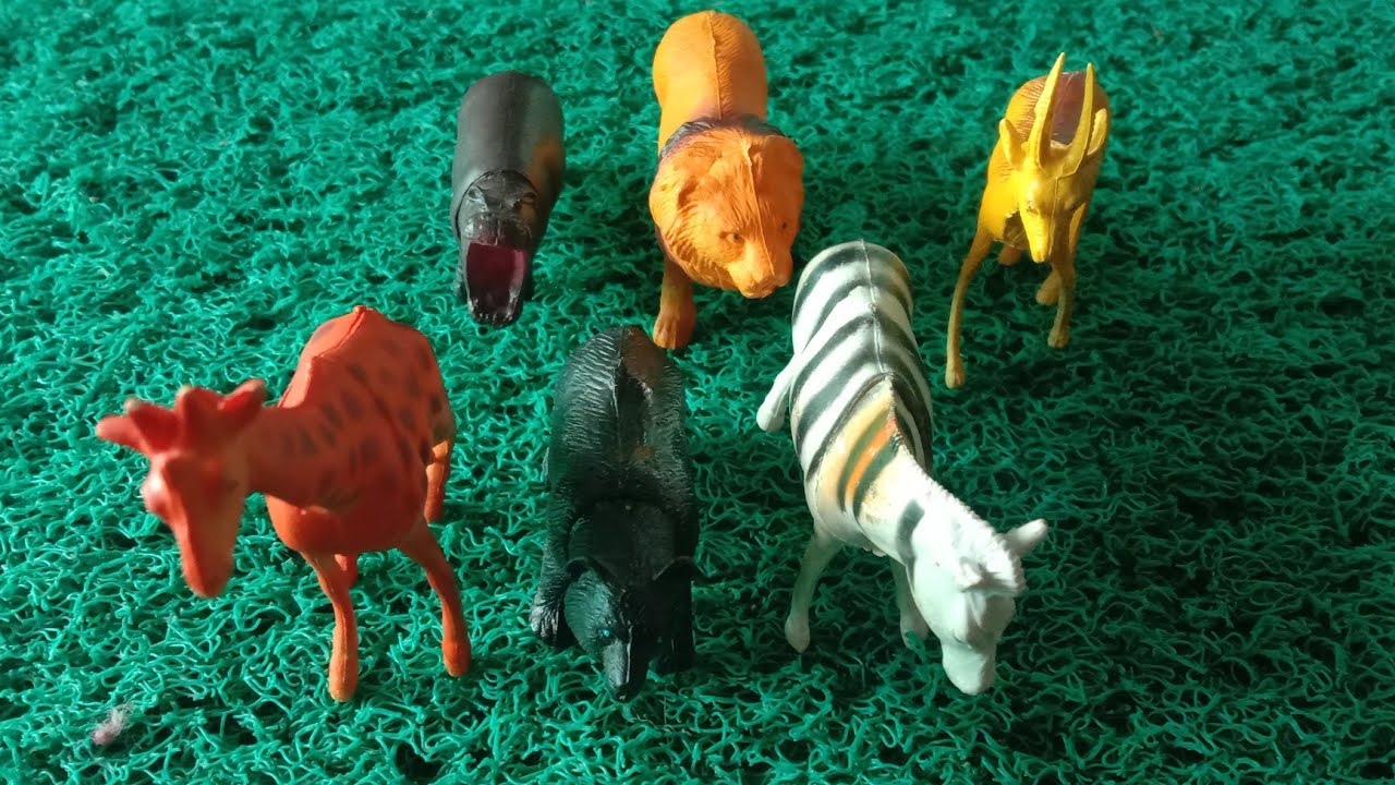 Toy wildlife animals collection|Learn animal|kids video collection ...
