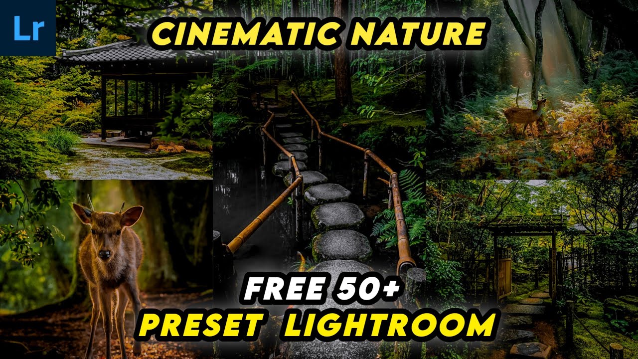 50+ PRESET LIGHTROOM | CINEMATIC NATURE | DEEP GREEN | LIGHTROOM ...