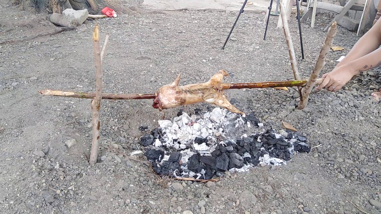 Rabbit lechon 2020 | rabbitchon | alternative meat for human ...