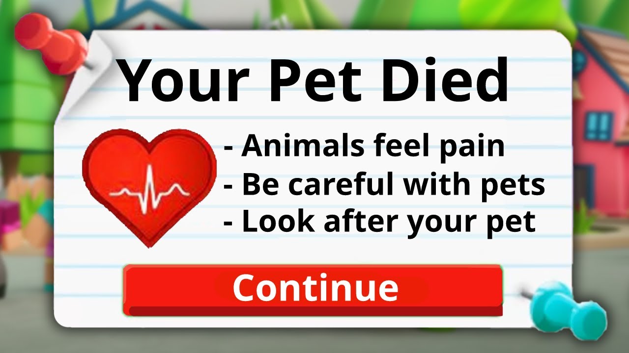 Adopt Me Update Where PETS Can DIE😭 - YouTube