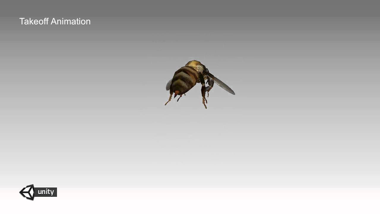 Bee Animations Demo - YouTube