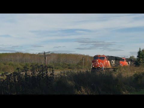 CN 305 avec CN 3189 & Chasing/NB-Qc 20 septembre 2024 - YouTube
