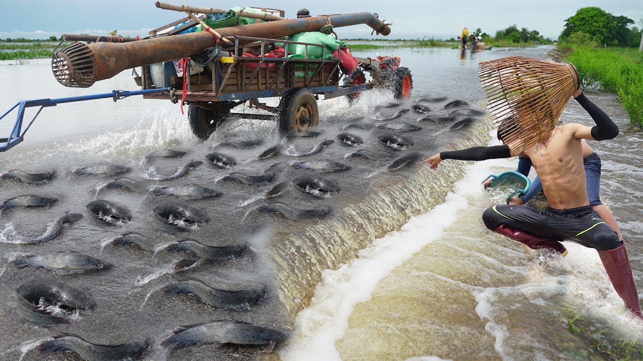 Unbelievable This Fishing on the road flooded - unique catching fish in ...