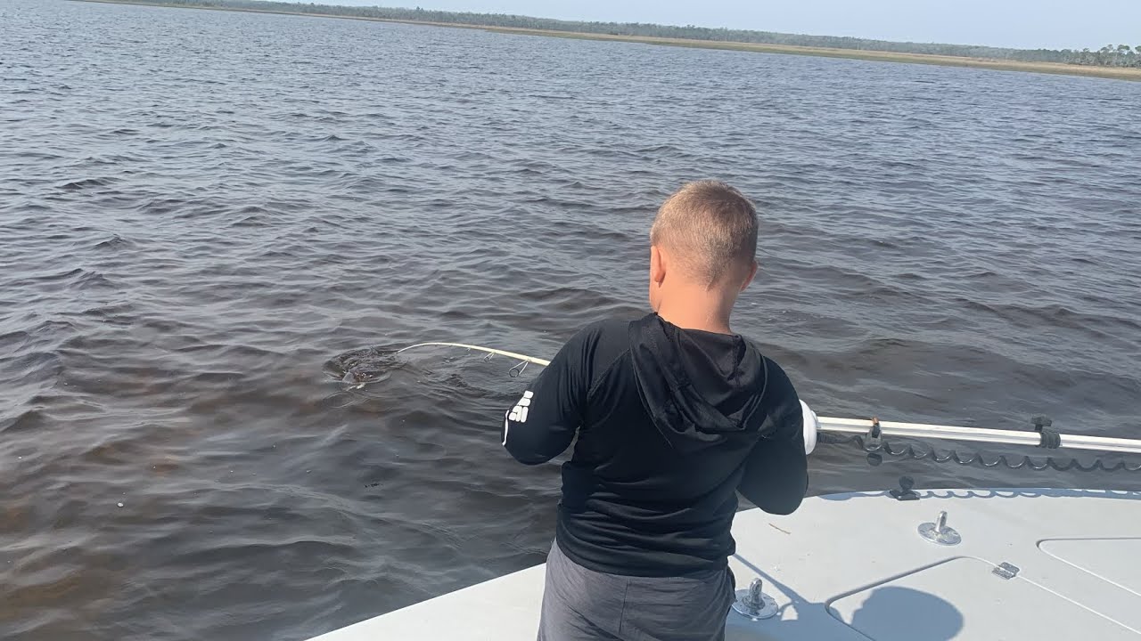 Boat flipping a blue tailed redfish! - YouTube
