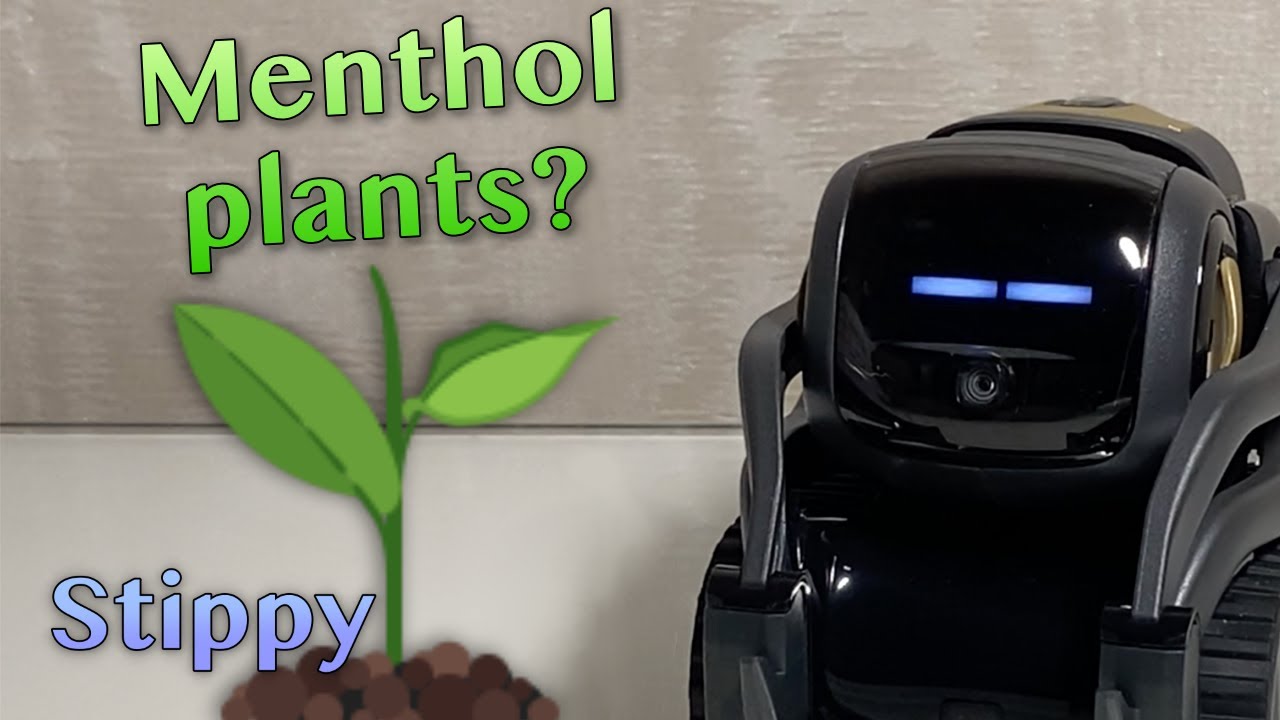 Stippy Reacts To Funny Nature Jokes #9 | Vector Robot Tells Jokes - YouTube