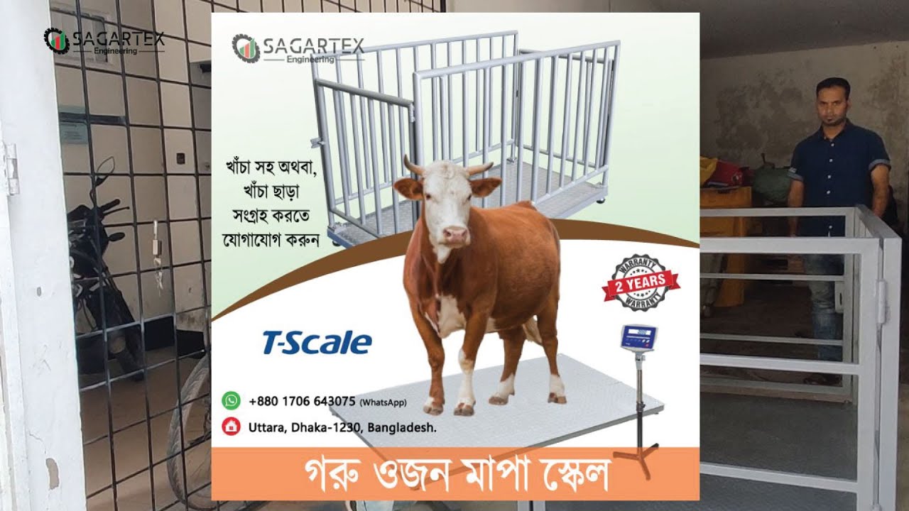 2 Ton Capacity Digital Cow Weight Scale | Cattle Weighing Scale | T ...