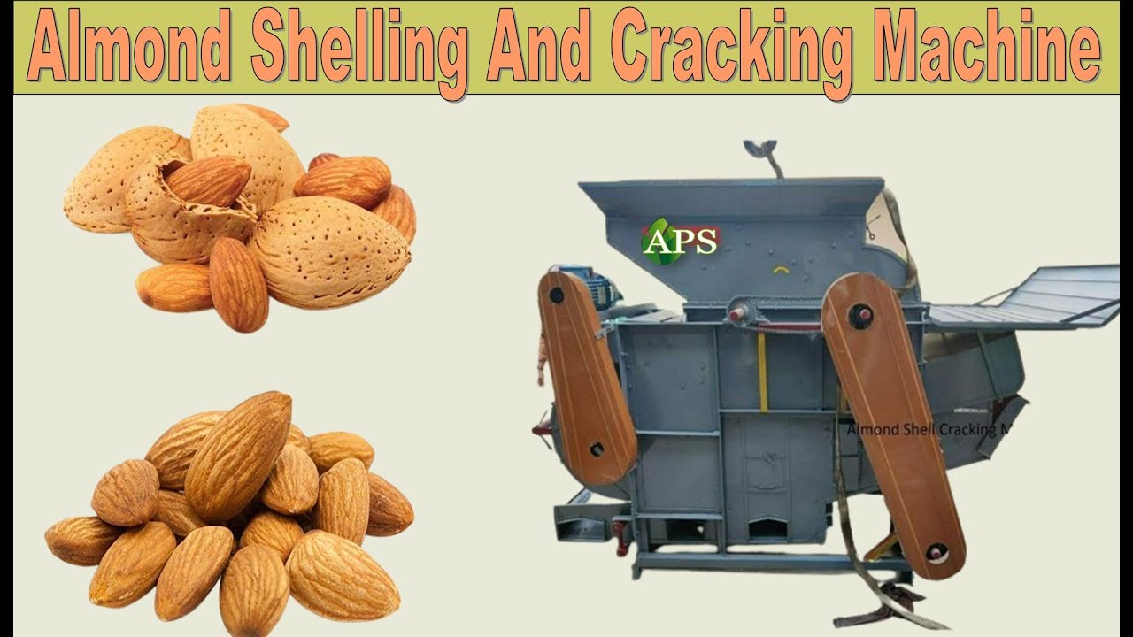 Almond Processing Cleaning, Hulling Shelling & Processing grading and ...