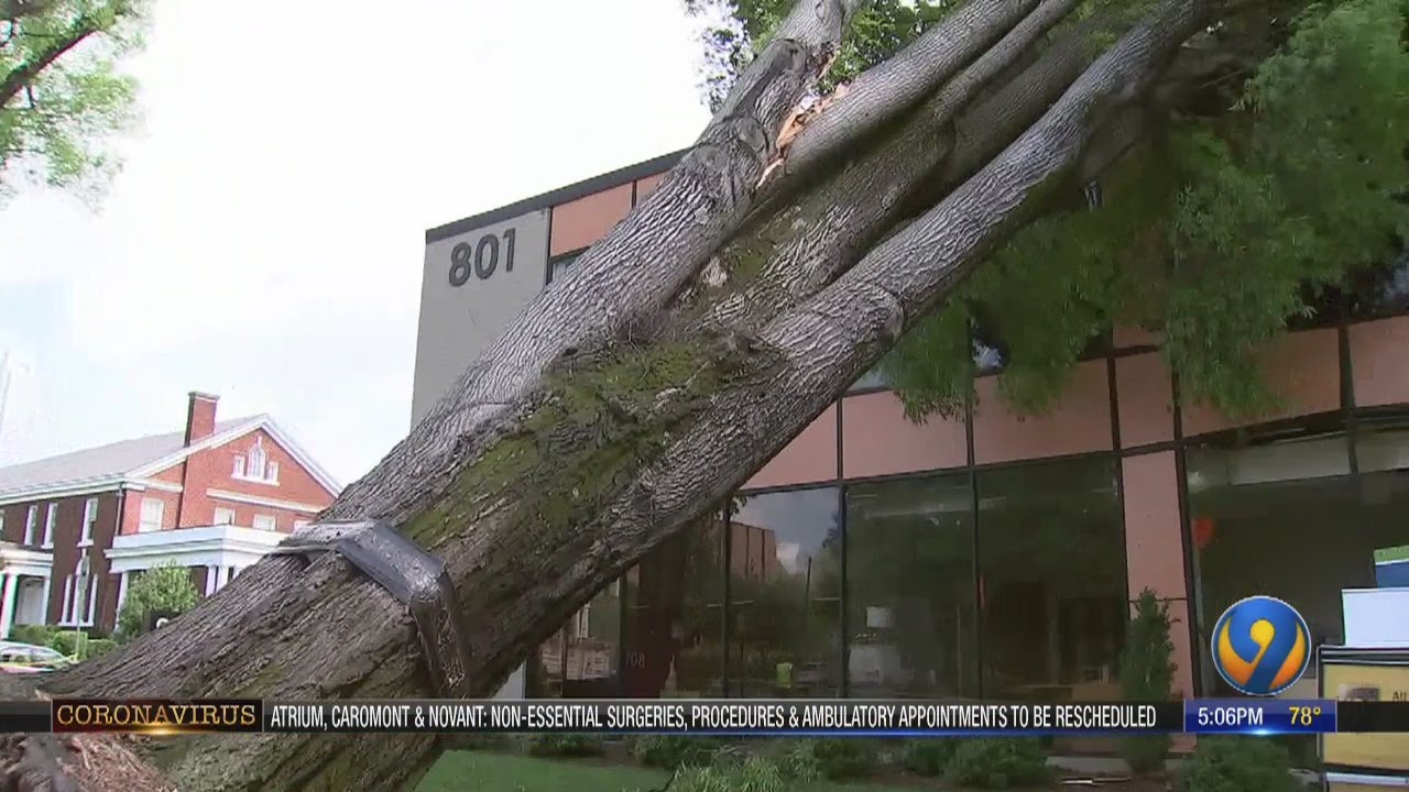 Strong winds uproot trees across Charlotte - YouTube