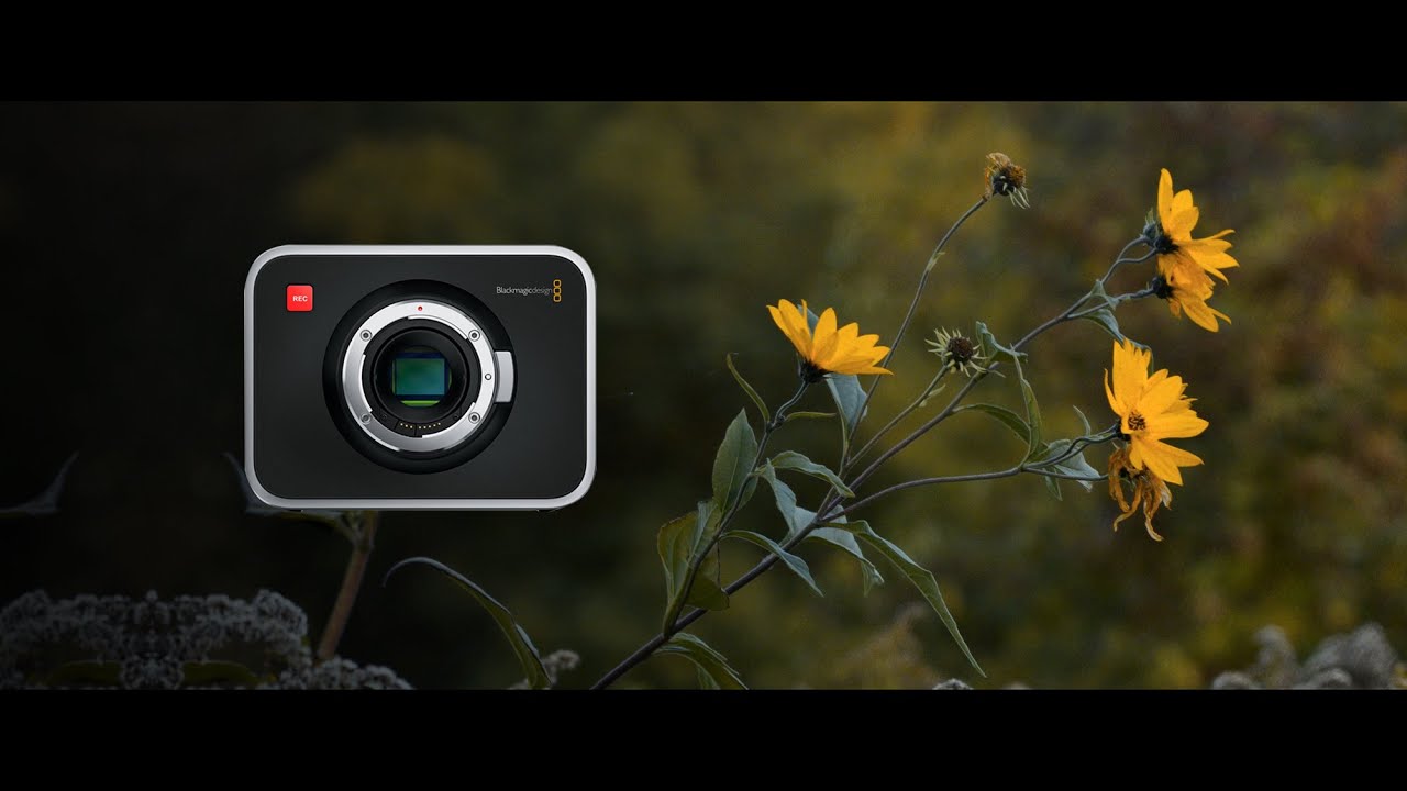 BMCC 2.5k EF + BMPC 4k on a slider. 4k . 2022. - YouTube