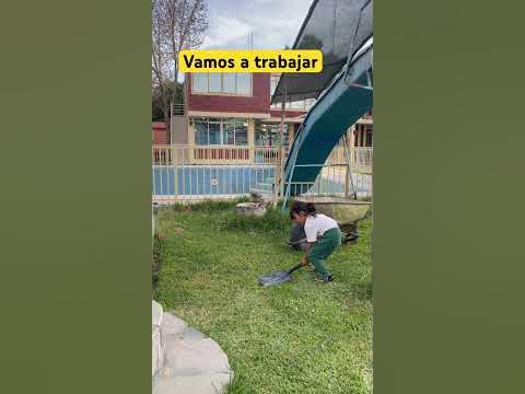 # vamos a trabajar #shortvideo - YouTube
