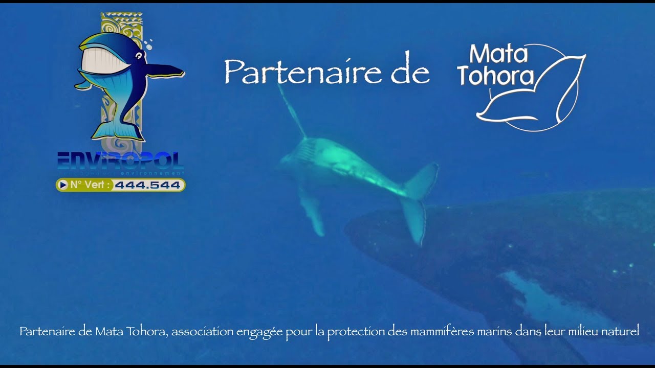 Enviropol partenaire de Mata Tohora - YouTube